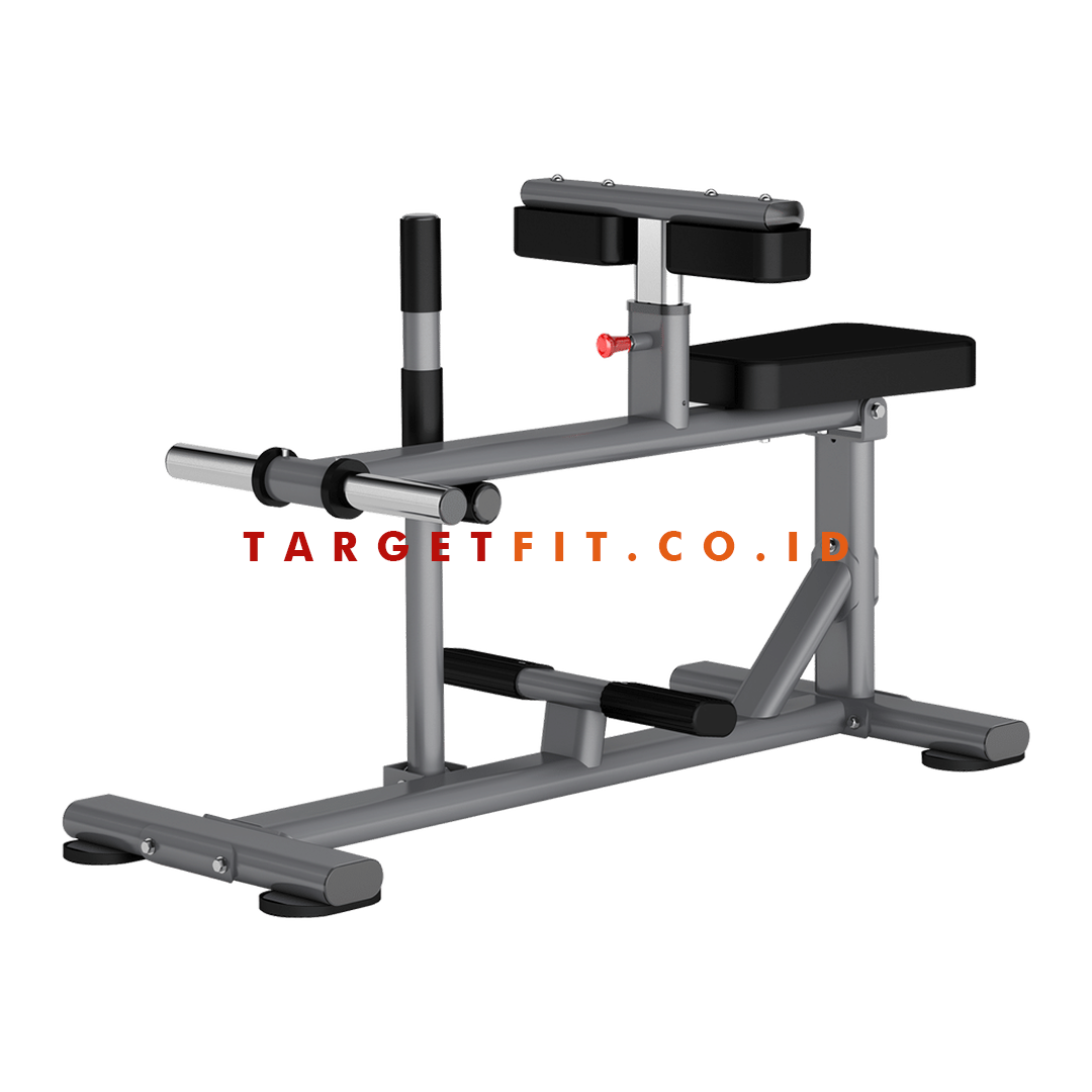Insight Seated Calf Raise DR011 – TARGETFIT